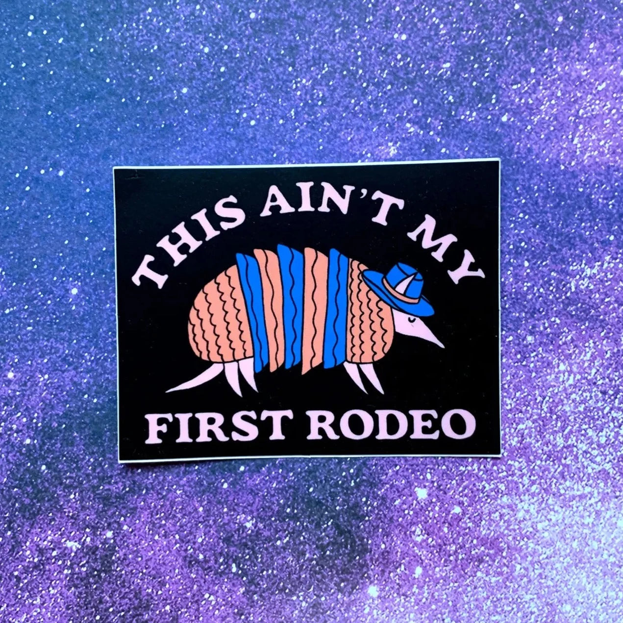 Armadillo Rodeo Vinyl Sticker – quincygeneralstore